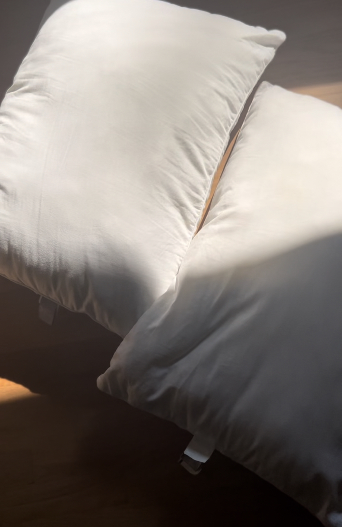 Sun Cleanse - Nicole Jaques