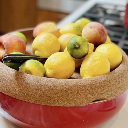 Say Goodbye to Fruit Flies - Nicole Jaques