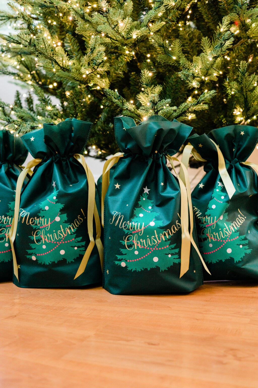 Deck the Halls Holiday Hacks: Santa Bags 🎄 - Nicole Jaques